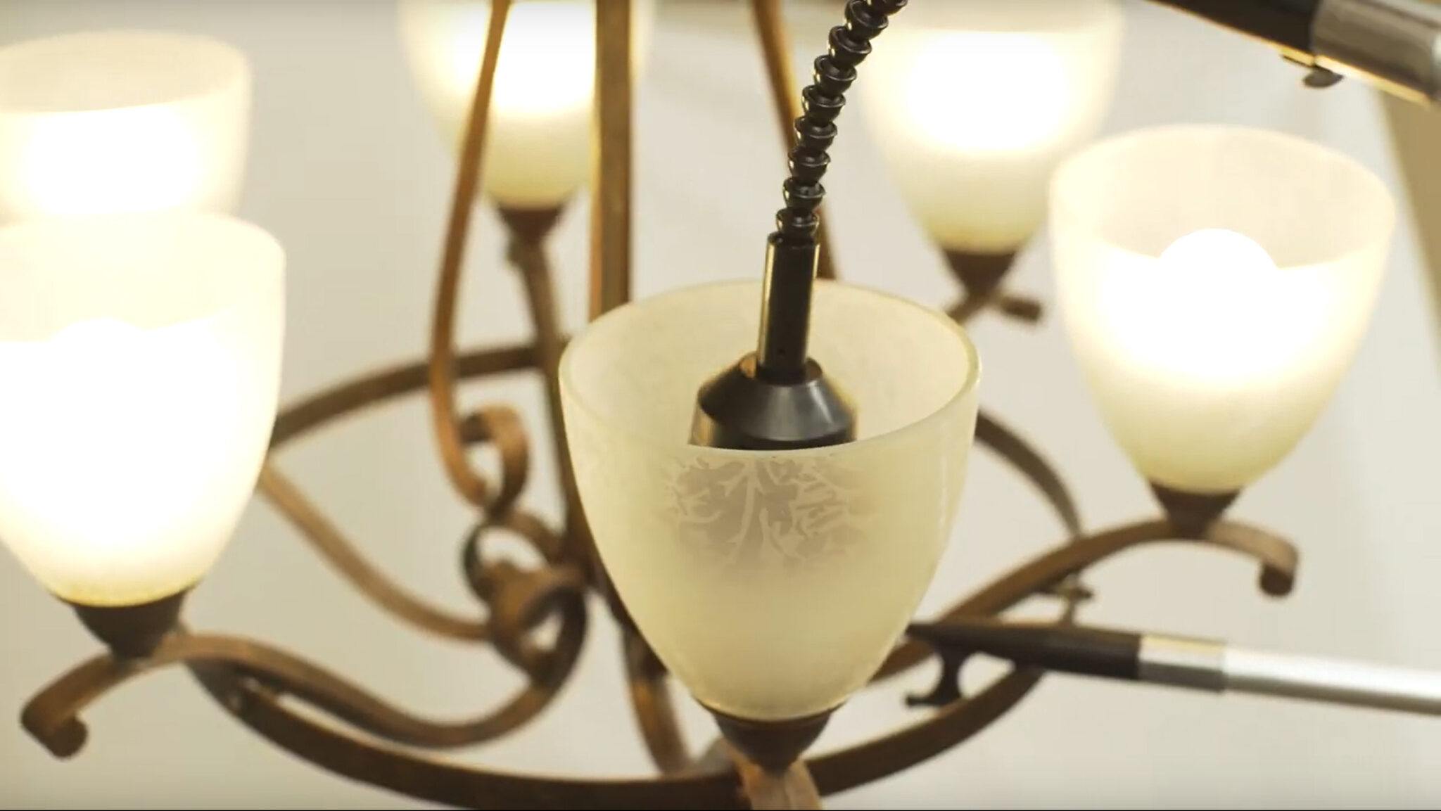 Chandelier Swan For Round Light Bulbs - Chandelier Swan